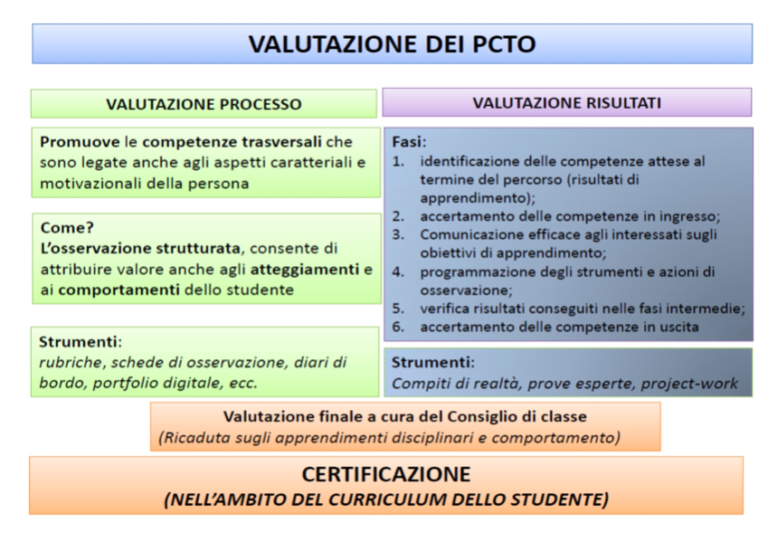Le nuove linee guida dei Percorsi per le Competenze Trasversali e per l'Orientamento | Articoli ...
