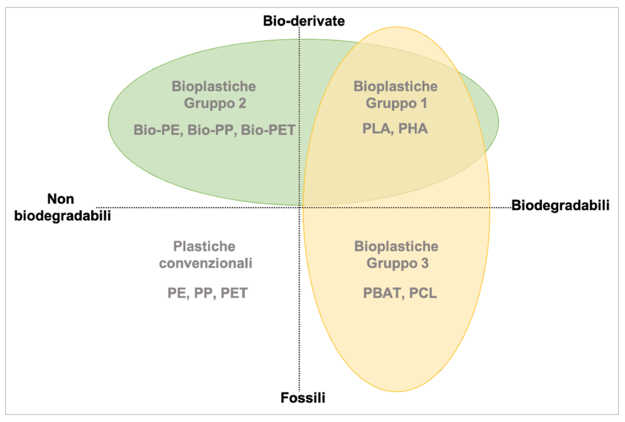 Che cosa sono le bioplastiche? | Articoli | DLive